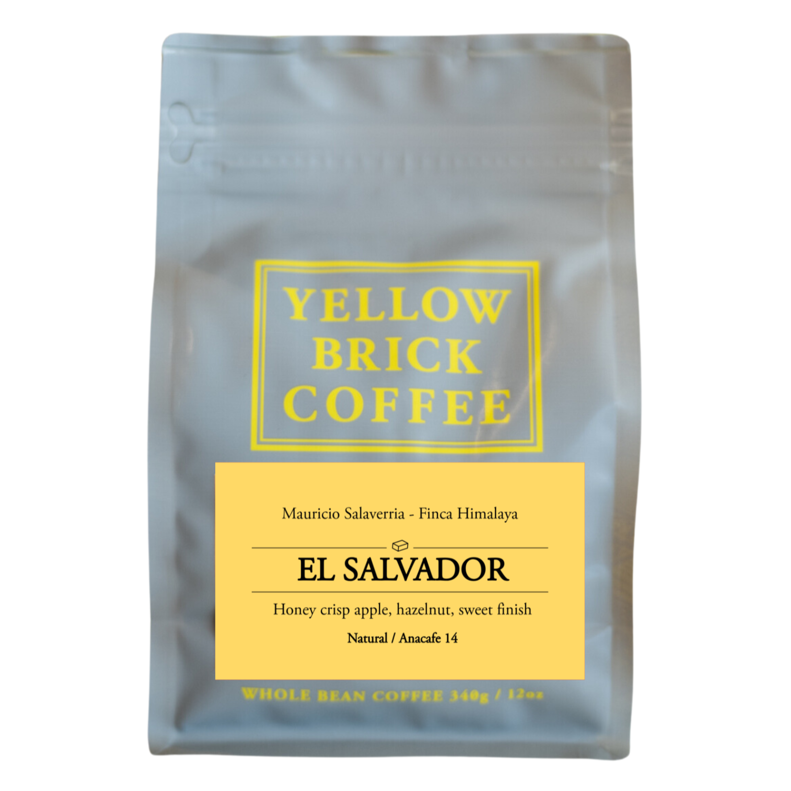 Yellow Brick Coffee Specialty Coffee Roaster & Cafe in Tucson