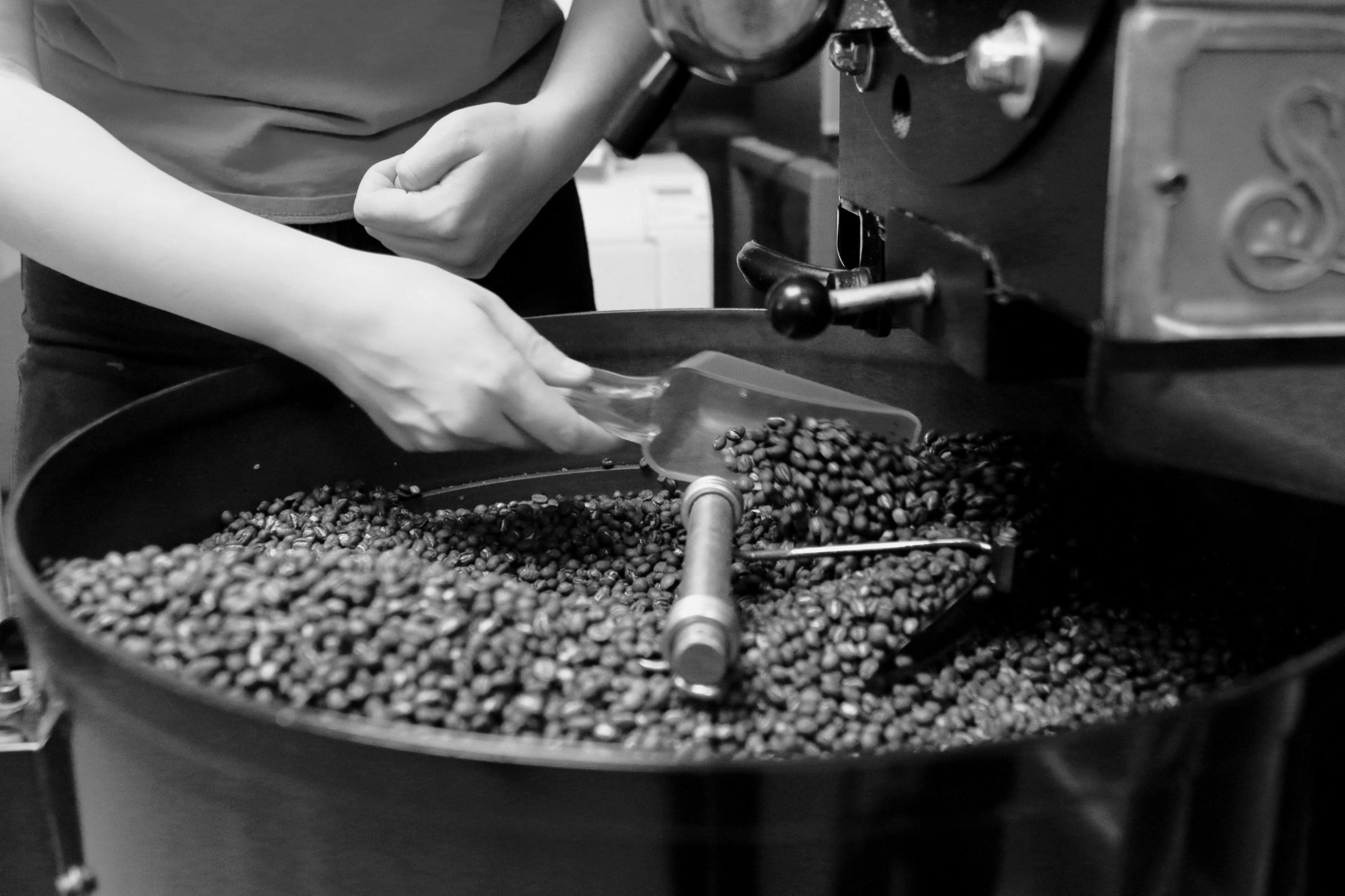 Yellow Brick Coffee Specialty Coffee Roaster & Cafe in Tucson